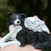 Border Collie Angel Statue Concrete Dog Memorial Border - Etsy