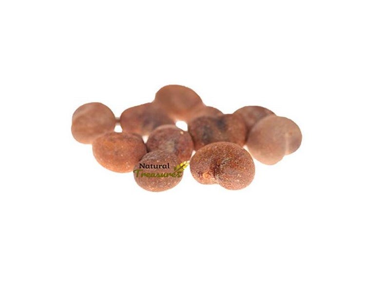 Adansonia Digitata AFRICAN BAOBAB 10 Seeds - Tree of Life - Great for ...