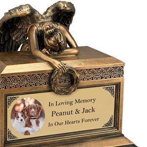Weeping Angel Photo Pet Cremation Urn - Custom Gold Engraving ...