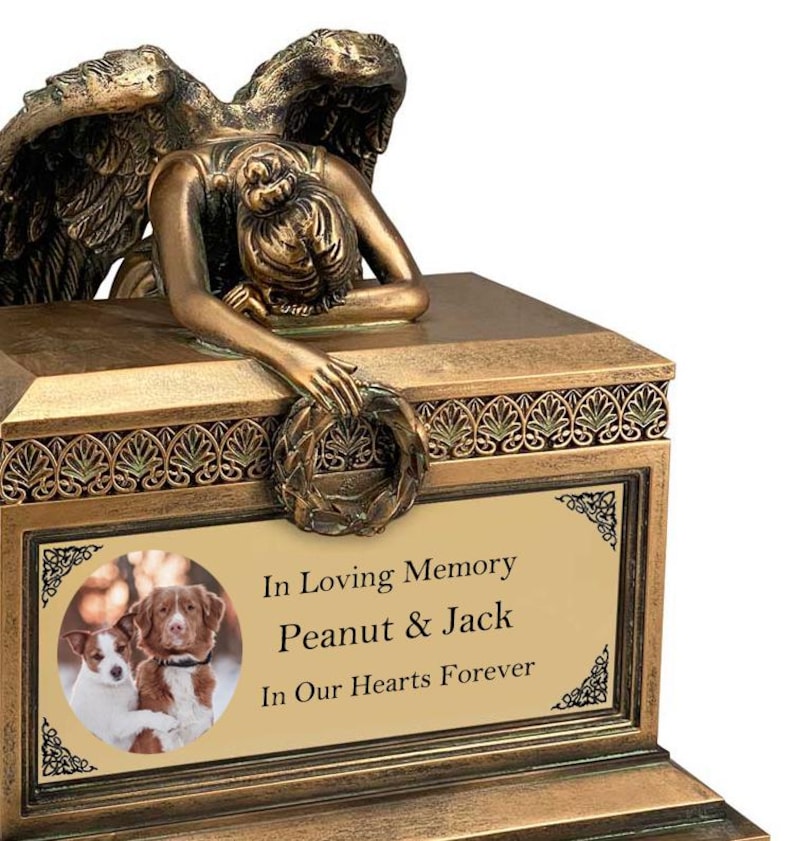 Weeping Angel Photo Pet Cremation Urn - Custom Gold Engraving ...