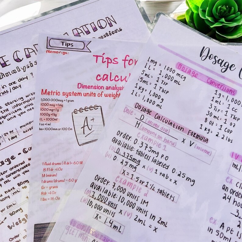 Nursing School Study Guide - Comprehensive Guide for Future Nurses ...