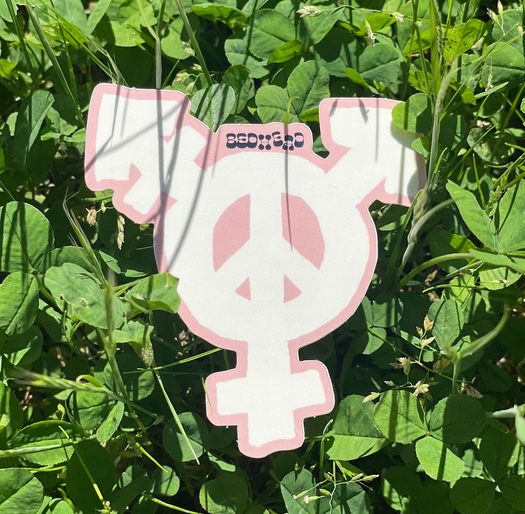 Trans Peace Transgender Symbol Sticker bedhead - Etsy