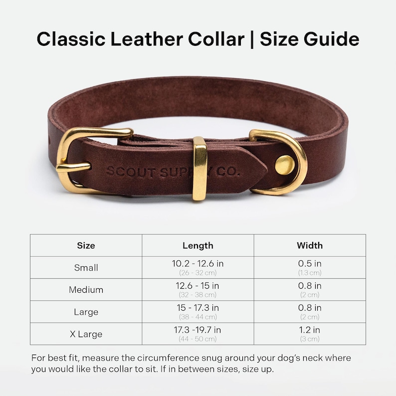 Scout Supply Classic Leather Dog Collar | Heavy Duty Premium Thick Full ...