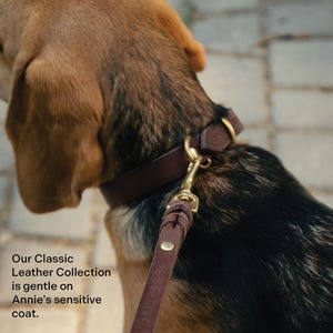 Scout Supply Classic Leather Dog Leash | Strong Heavy Duty Premium ...