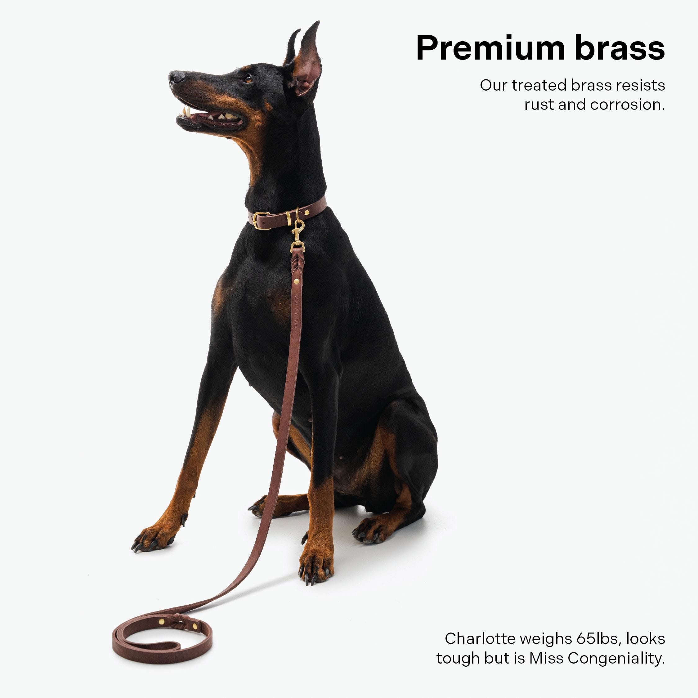 Scout Supply Classic Leather Dog Leash Strong Heavy Duty Premium Thick ...