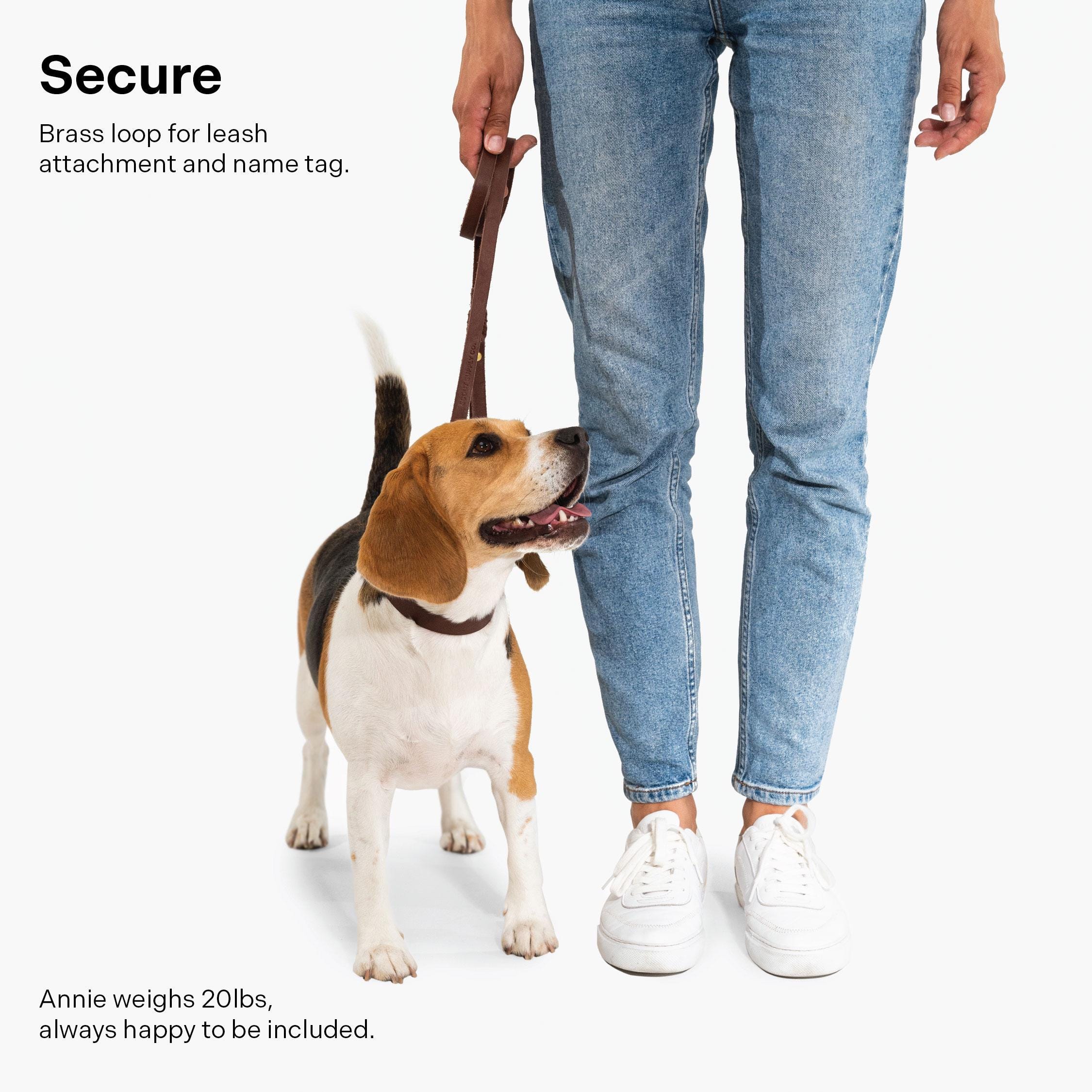 Scout Supply Classic Leather Dog Leash | Strong Heavy Duty Premium ...