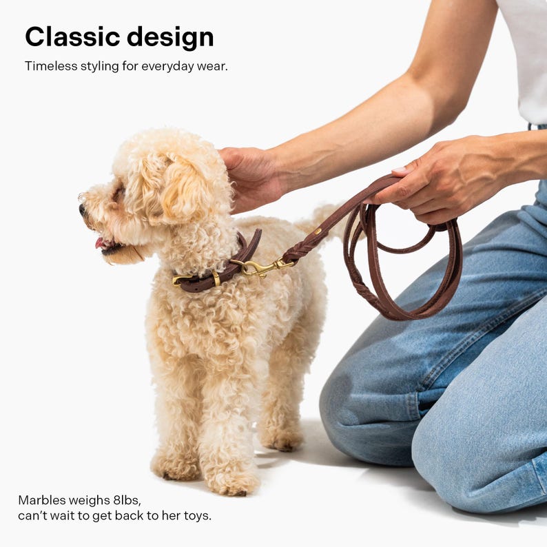 Scout Supply Classic Leather Dog Leash Strong Heavy Duty Premium Thick ...