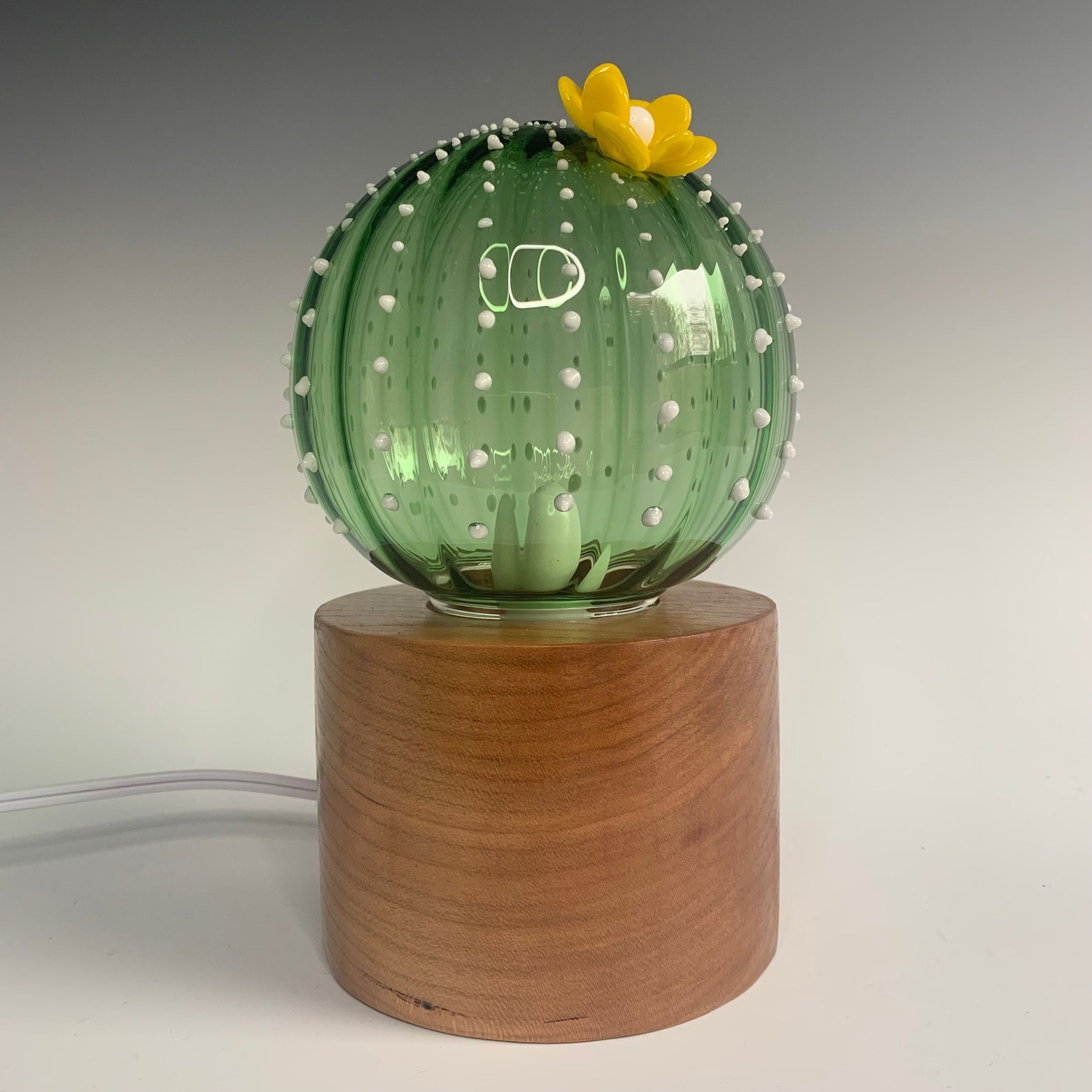 Borosilicate Glass Cactus Lamp | Desert Home Decor | Unique ...