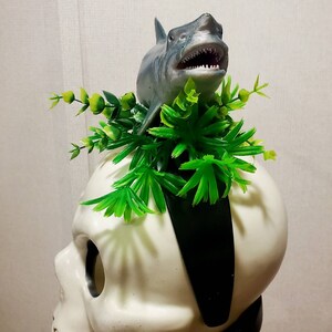 Shark, Shark Headband, Great White, Shark Hat, Aquarium, Shark Week - Etsy