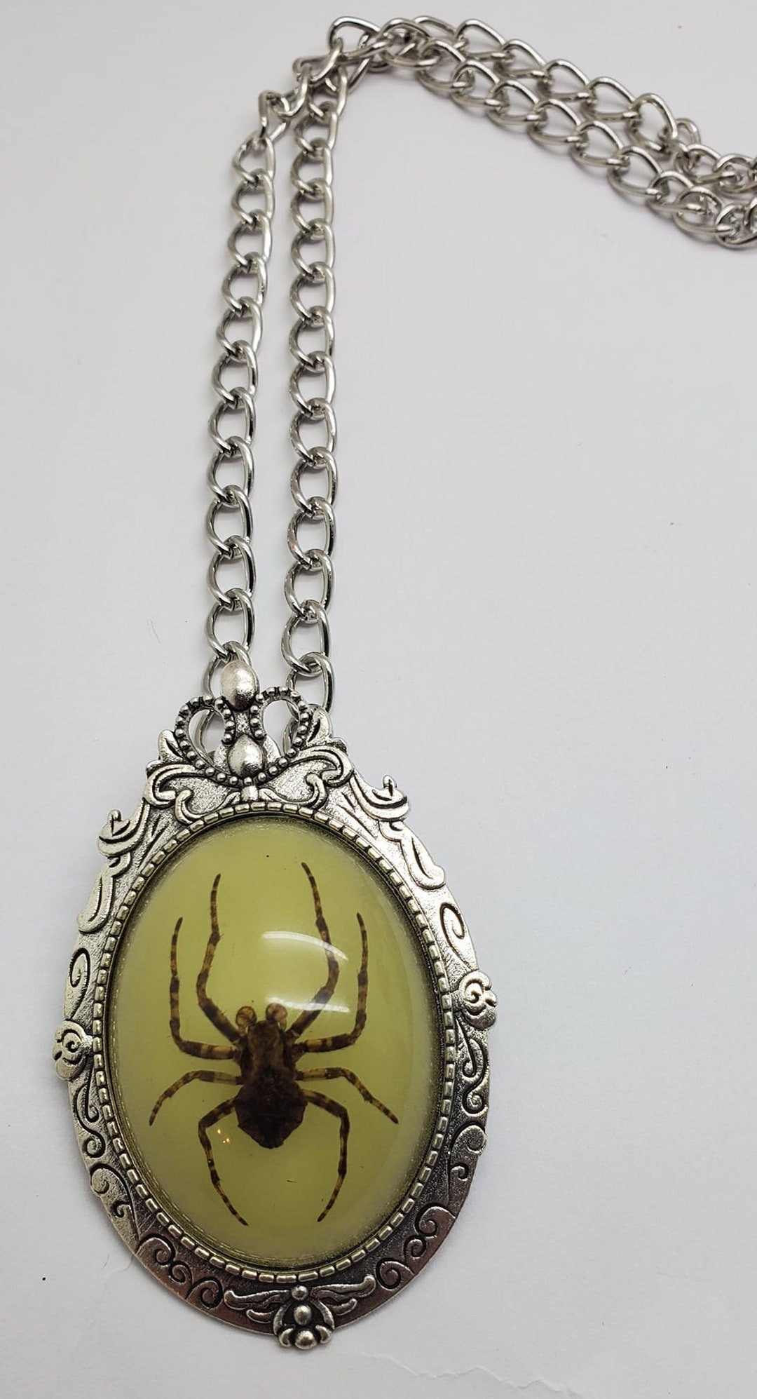 Spider, Spider Jewelry, Spider Necklace, Taxidermy Spider, Spider Jewelry, Spider Necklace, Taxidermy