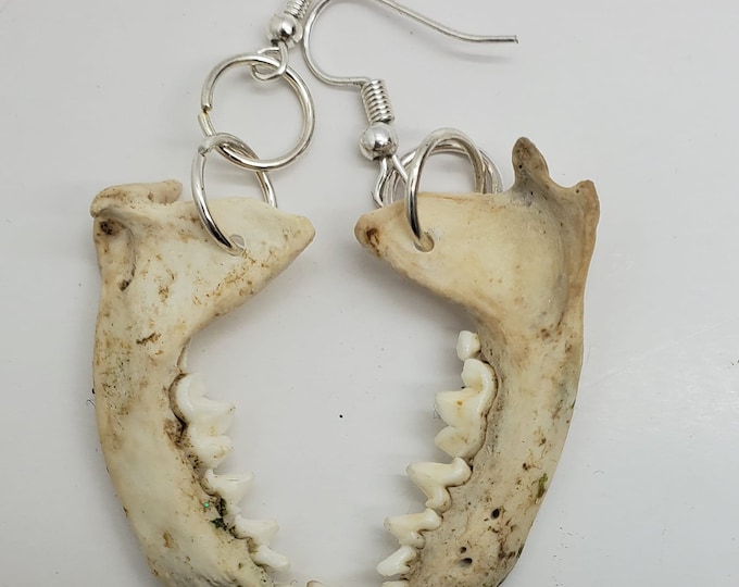 18k Gold Snake Bone Hoop Earrings, Vertebrae Vulture Culture Jewelry ...