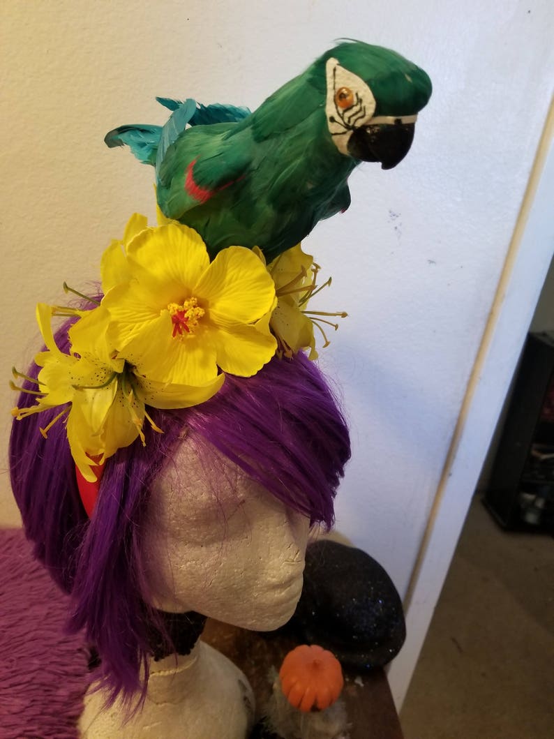 Parrot Parrot headband Parrot head Tiki Tiki dress Bird | Etsy
