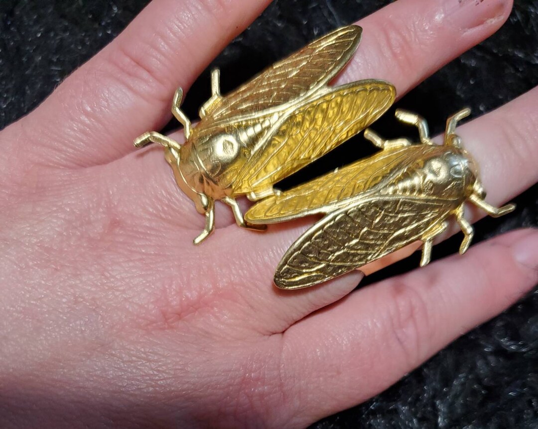 Cicada Ring, Adjustable Ring, Cicada, Ready to Ship, Insect Ring ...