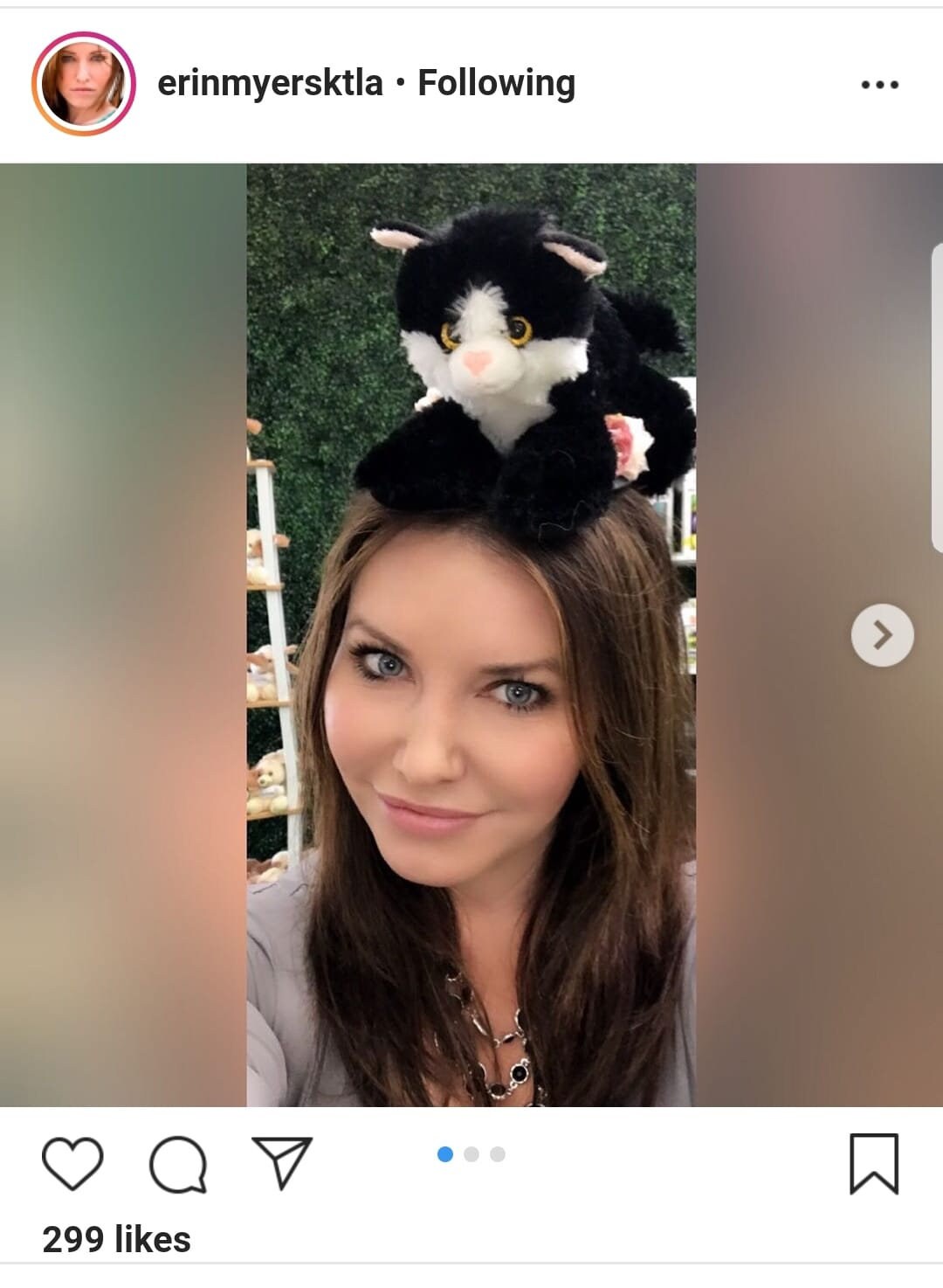Cat Headband, Catcon, Cat Convention, Cat, Stuffed Kitty, Kitty ...