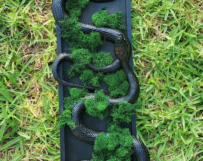 Snake Taxidermy Vegan Snake Snake Art Halloween Halloween | Etsy