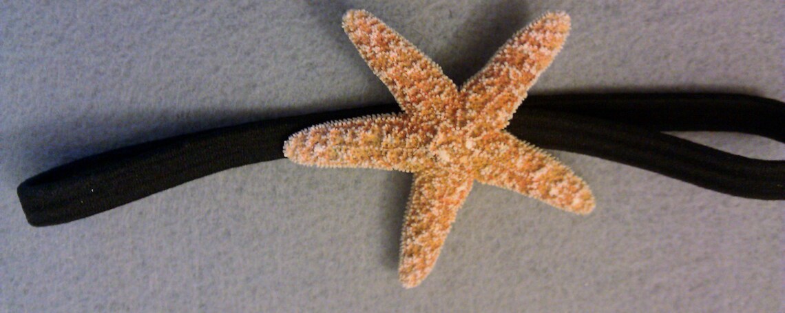Starfish Headband Ocean Beach Wedding Tropical Wedding - Etsy