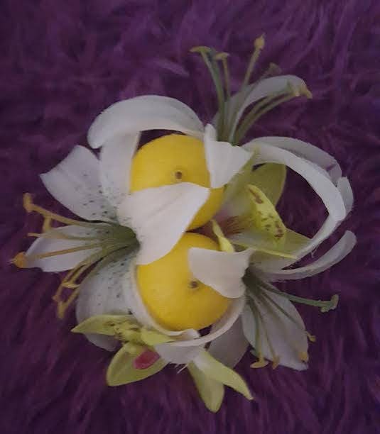 Lemon Lemon fascinator Lemon clip Faux fruit Fruit clip | Etsy