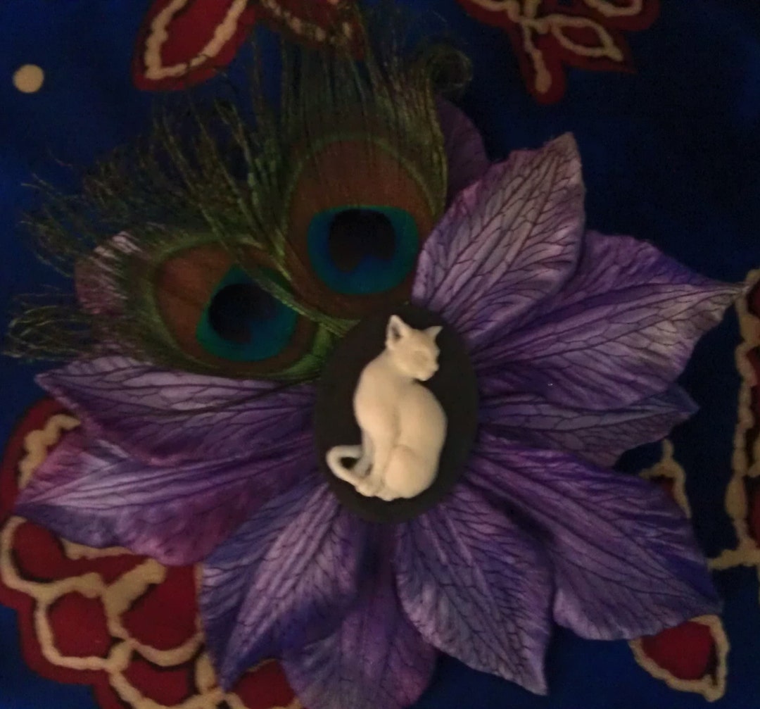 Peacock, Peacock Feather,cat, Cat Cameo, Cat Flower , Purple, Purple ...
