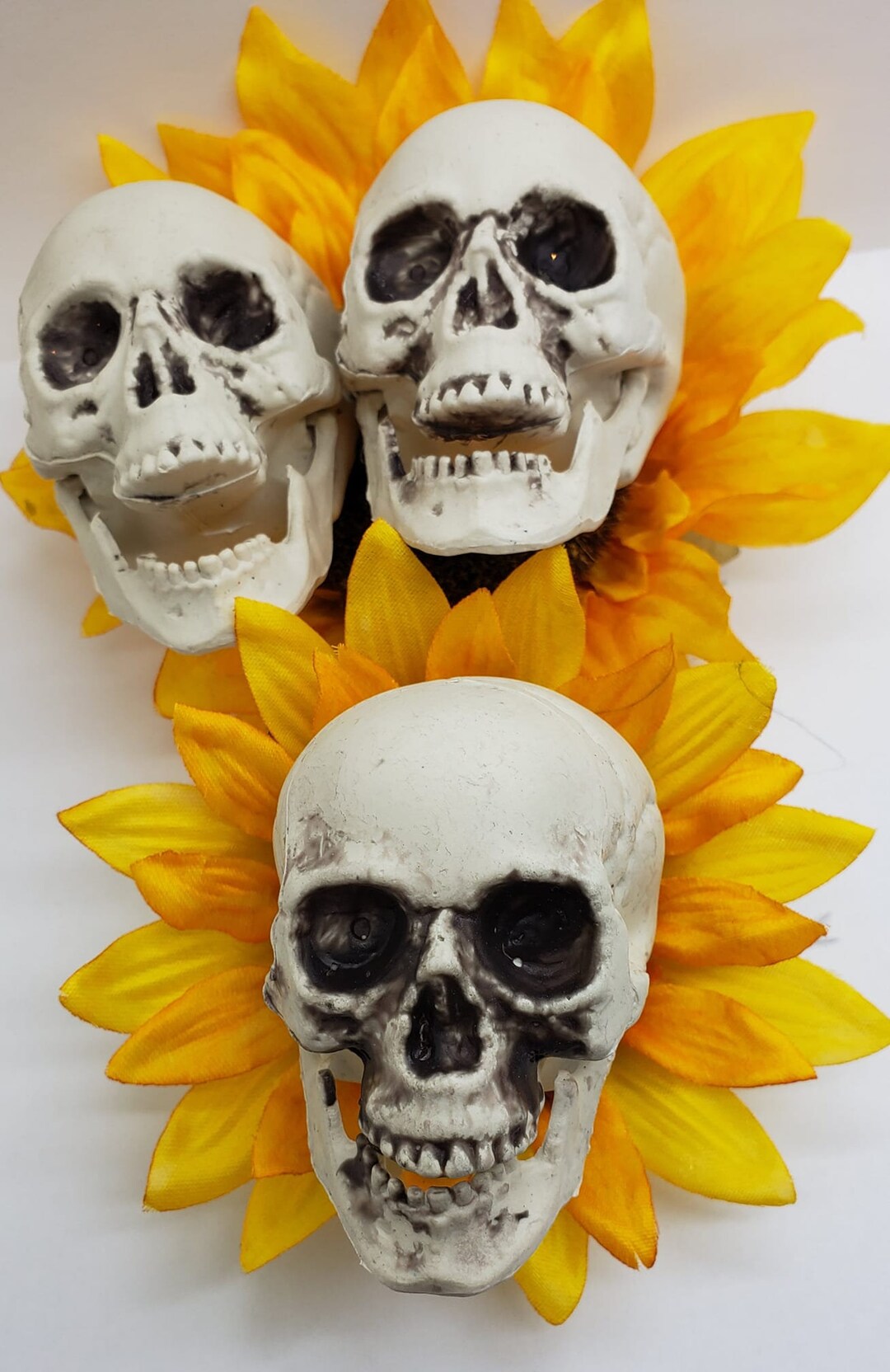 Skull Sunflower, Skull, Skull Clip, Sunflower Clip, Halloween ...