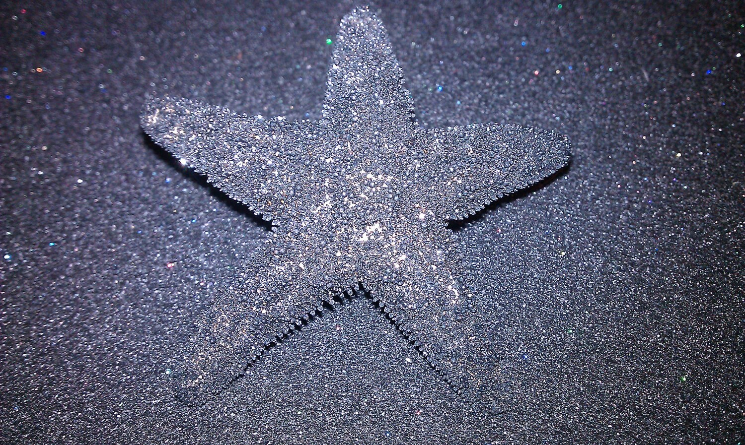 Starfish Black Black Starfish Mermaid Star Halloween | Etsy