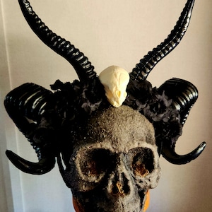 Vampire Horns, Werewolf Skull, Skull, Skull Horns, Horn Headband ...