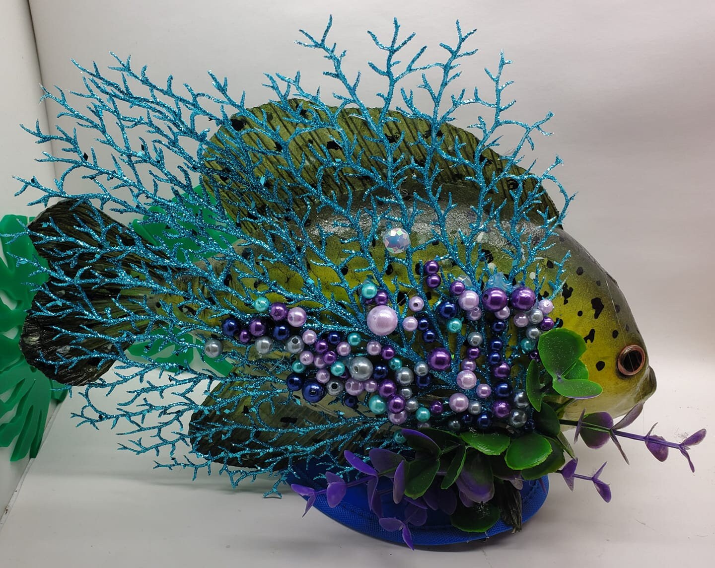 Fish, Fish Hat, Fish Fascinator, Tiki Oasis, Tiki Bar, Tiki Headband ...