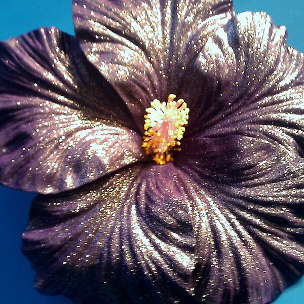 Burlesque Pin Up - Etsy