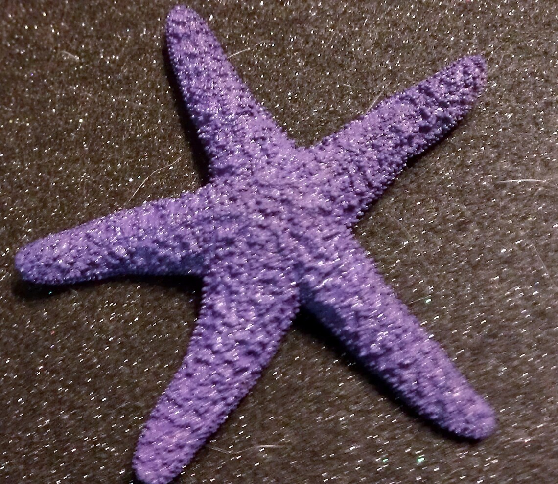 Purple Mermaidstarfish Ocean Beach Wedding Tropical | Etsy