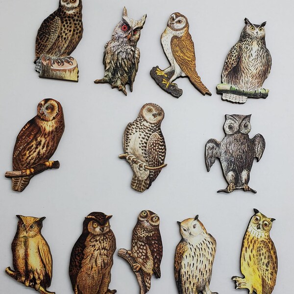 Owl Hair Clip - Etsy