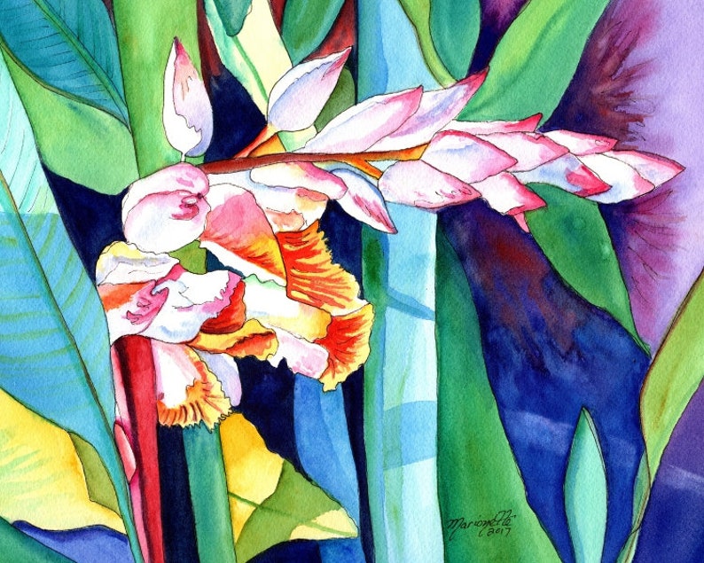 Shell Ginger Art, Tropical Foliage Print, Ginger Print, Kauai Art ...