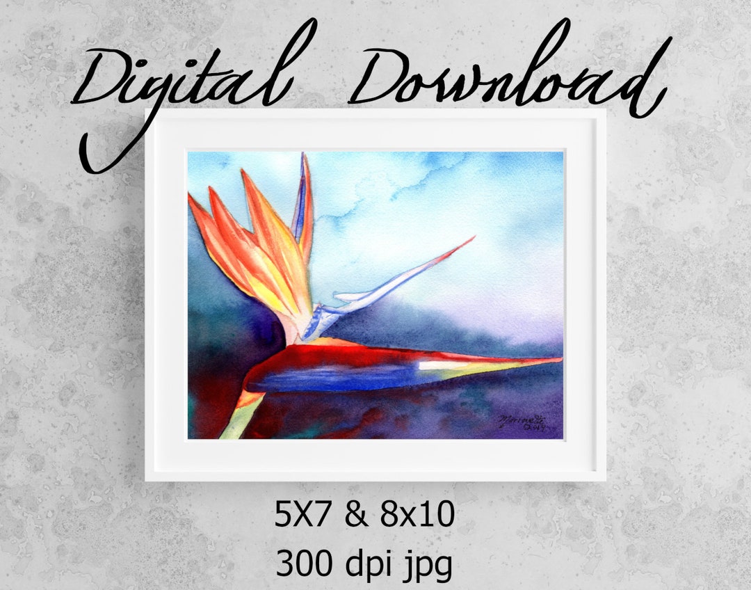 Bird of Paradise Print Digital Download 8x10 5x7 Jpg Watercolor Print ...