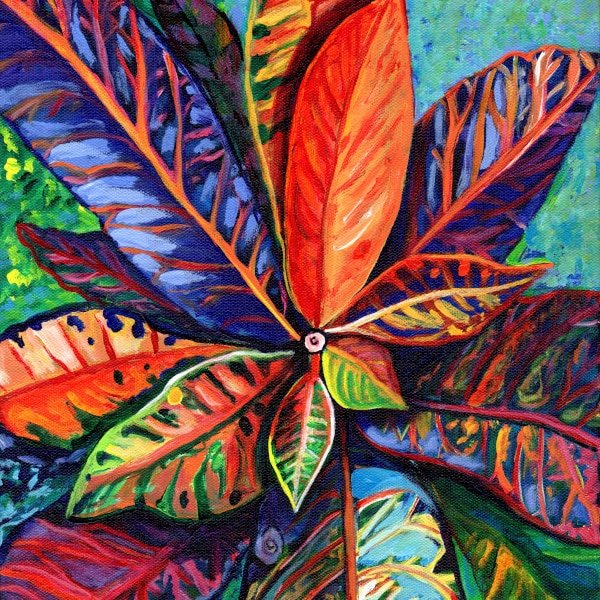 Croton - Etsy