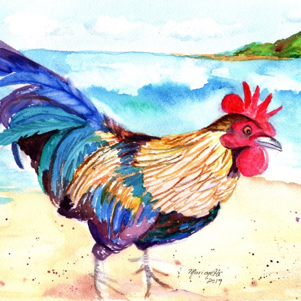 Chicken Beach Art - Etsy