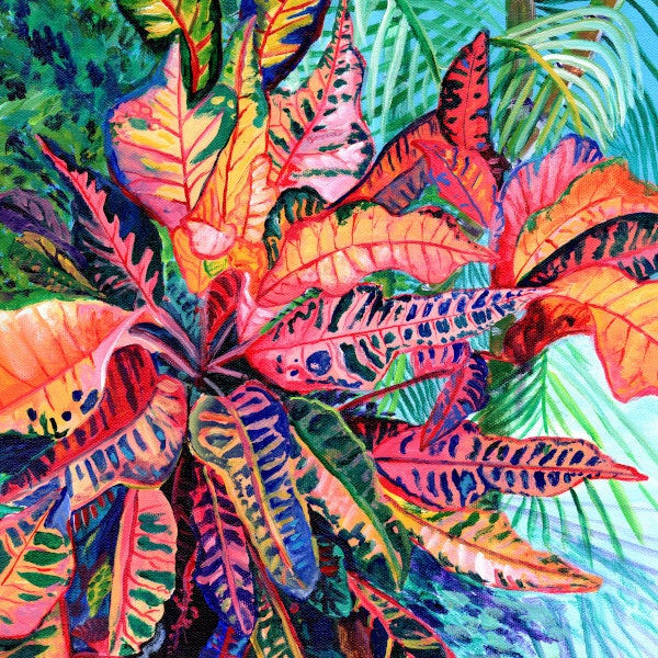 Croton - Etsy