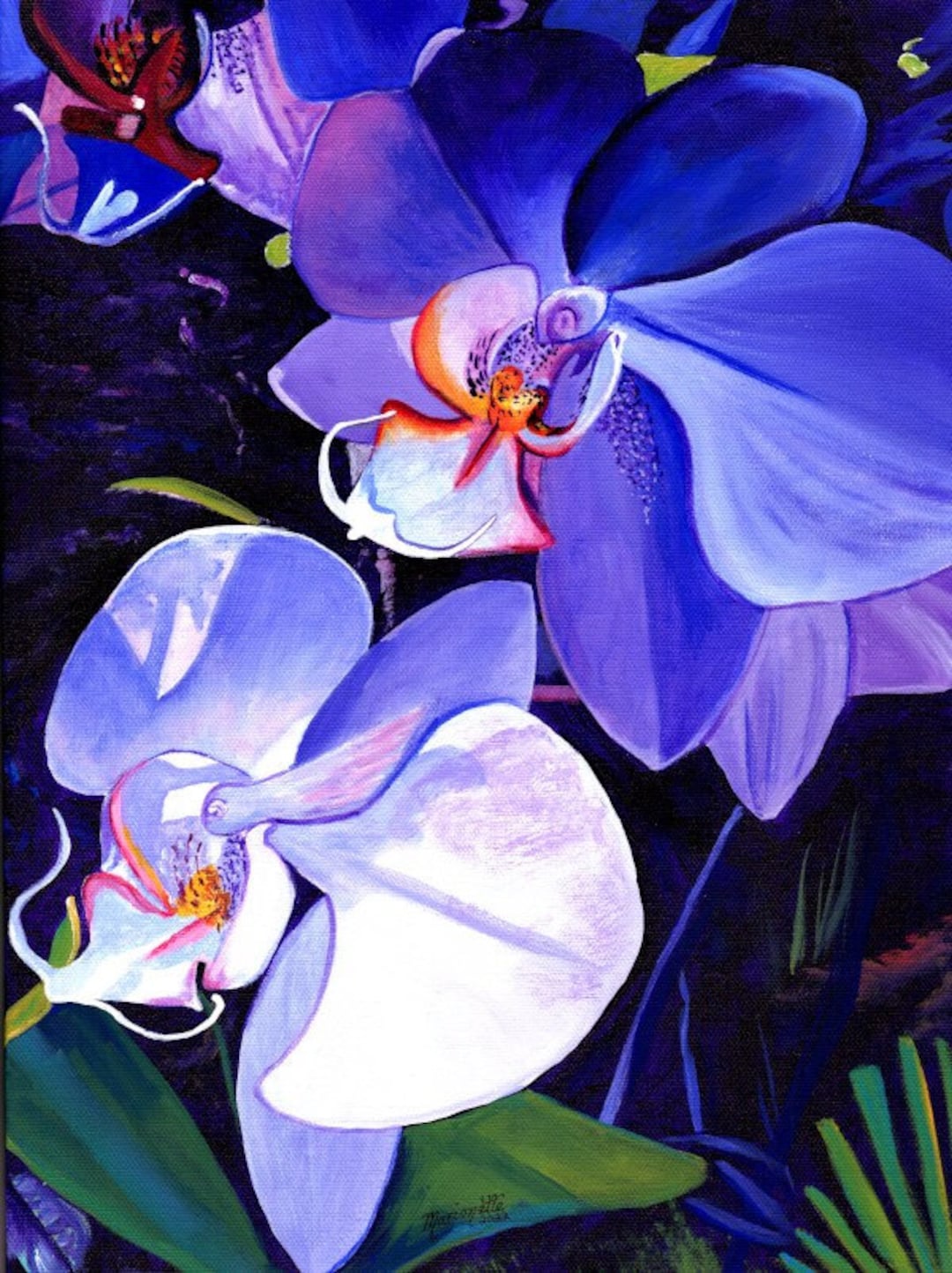 Blue Purple Orchids, Orchid Prints, Midnight Blue, Aubergine, Love ...