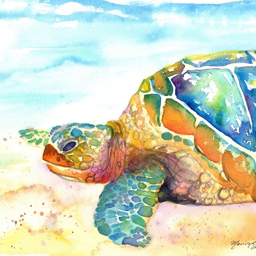 Sea Turtle Art Print Hawaiian Honu Hawaii Wall Decor Kauai - Etsy