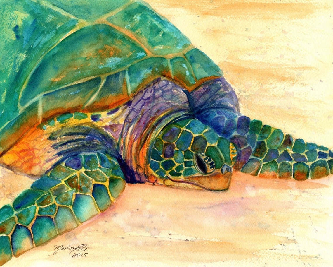 Hawaiian Sea Turtle Fine Art Print Kauai Art Honu - Etsy