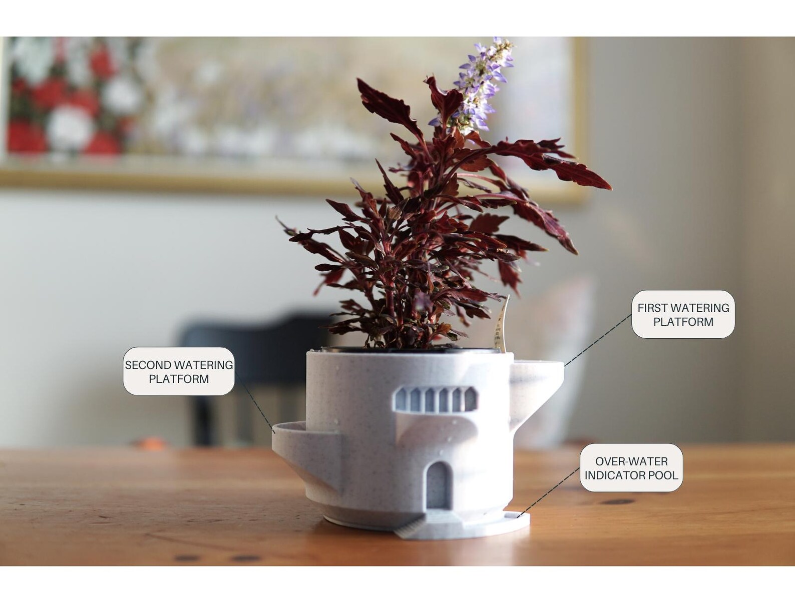 Aquaspiral Oasis Planter - Succulent-ivy-cactus Table Self-watering Pot ...