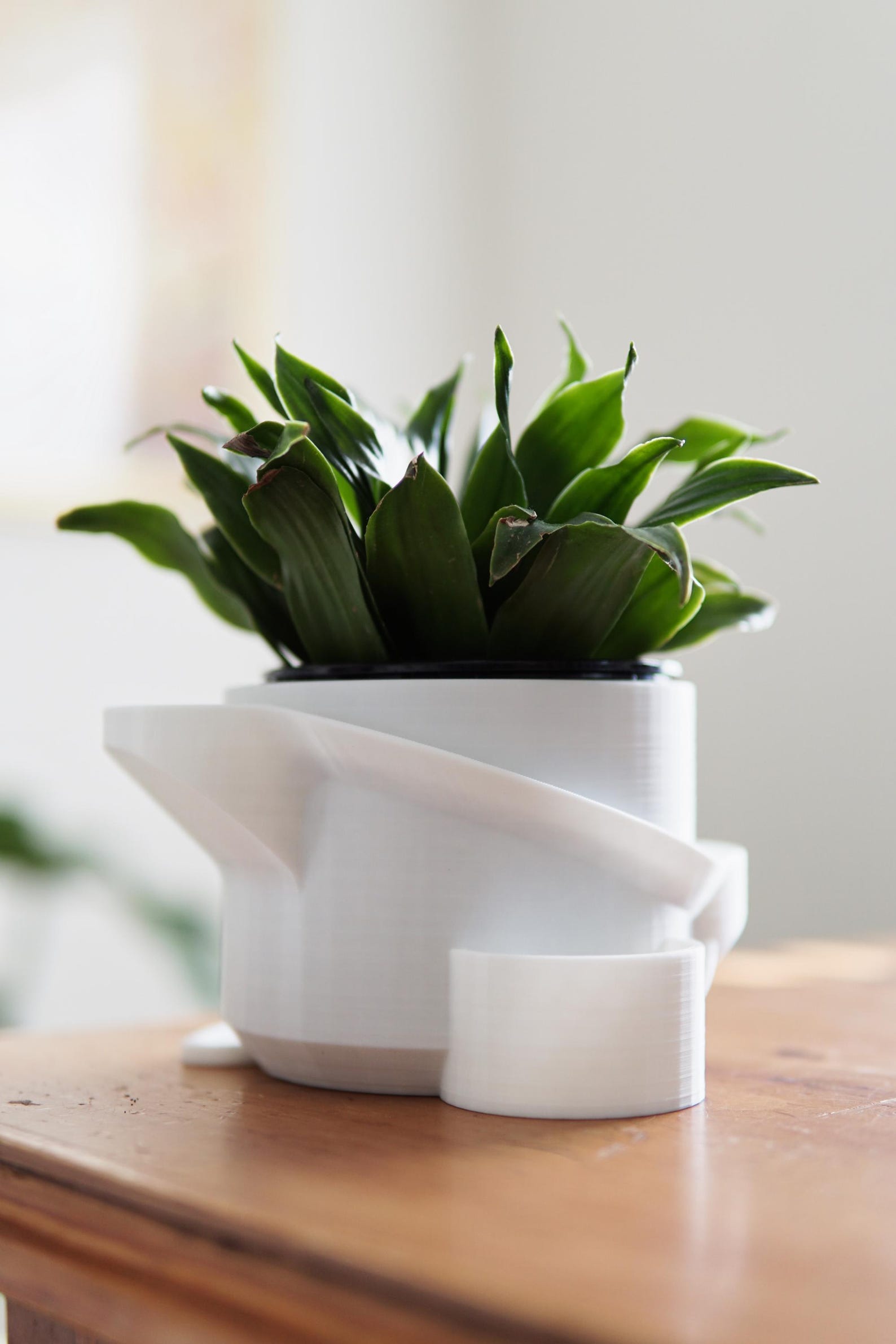 Aquaspiral Oasis Planter - Succulent-ivy-cactus Table Self-watering Pot ...