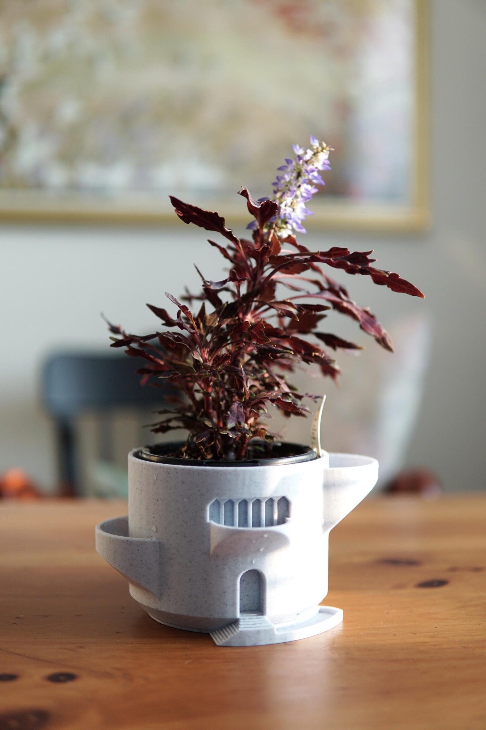 Aquaspiral Oasis Planter - Succulent-ivy-cactus Table Self-watering Pot ...