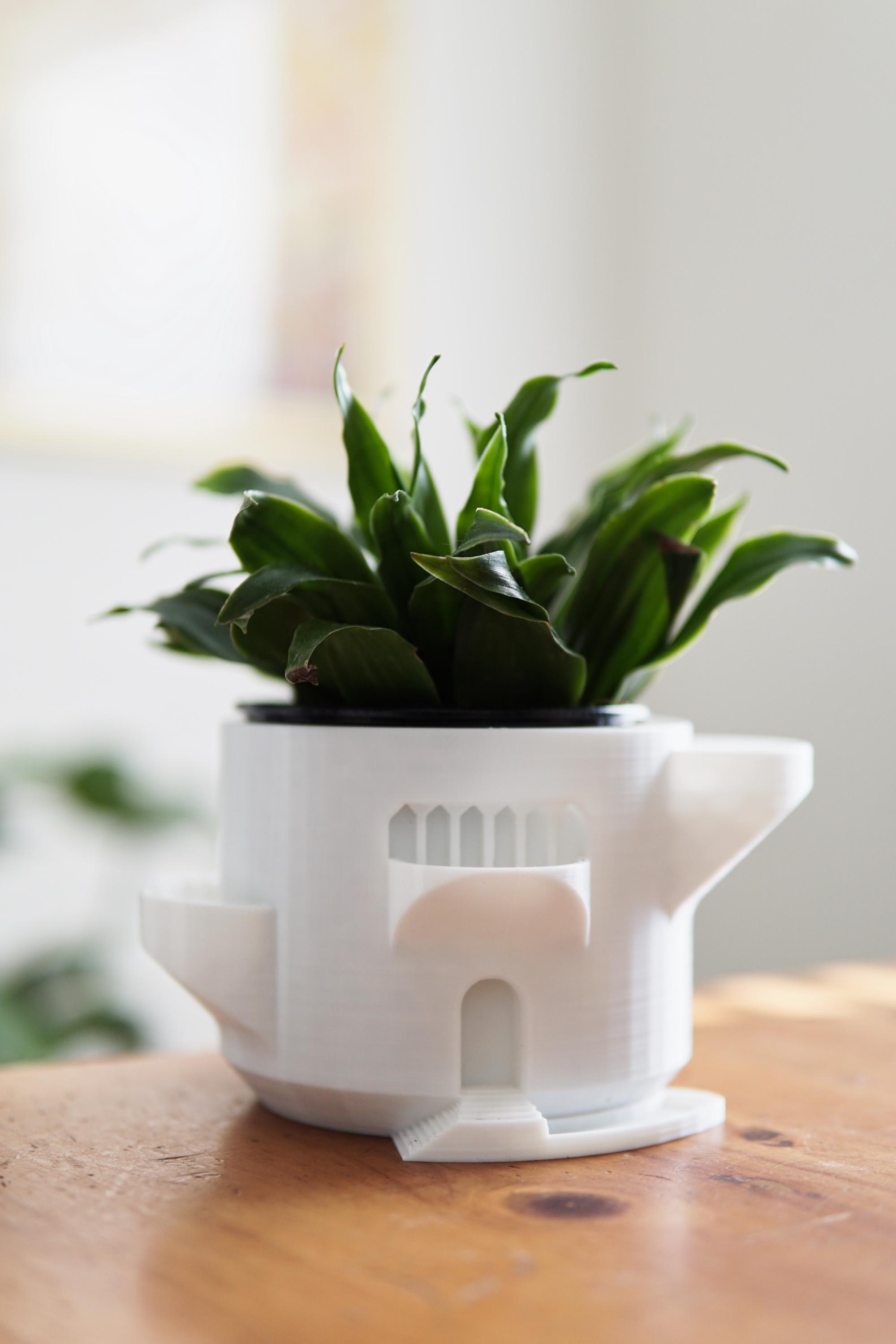 Aquaspiral Oasis Planter - Succulent-ivy-cactus Table Self-watering Pot ...
