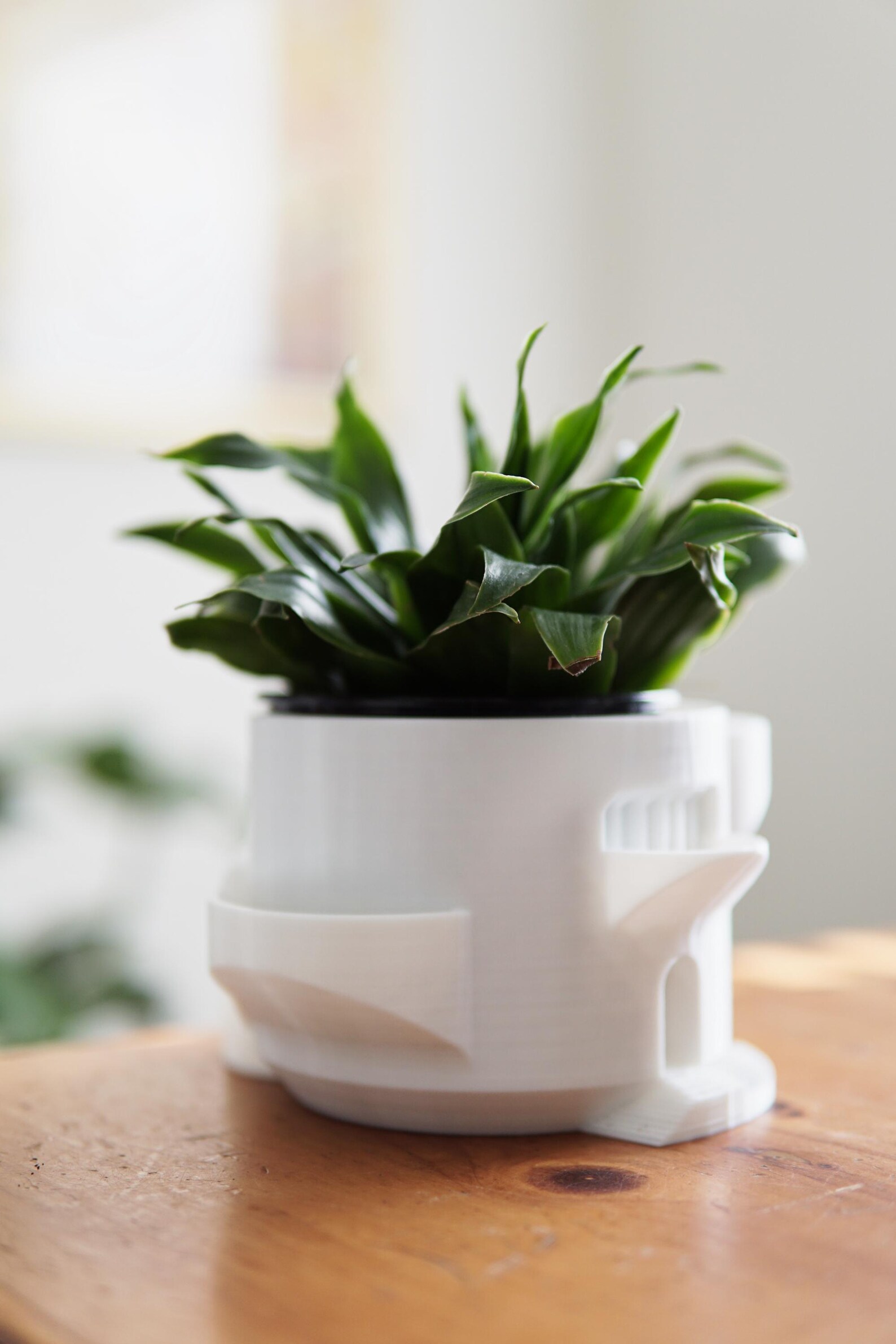 Aquaspiral Oasis Planter - Succulent-ivy-cactus Table Self-watering Pot ...