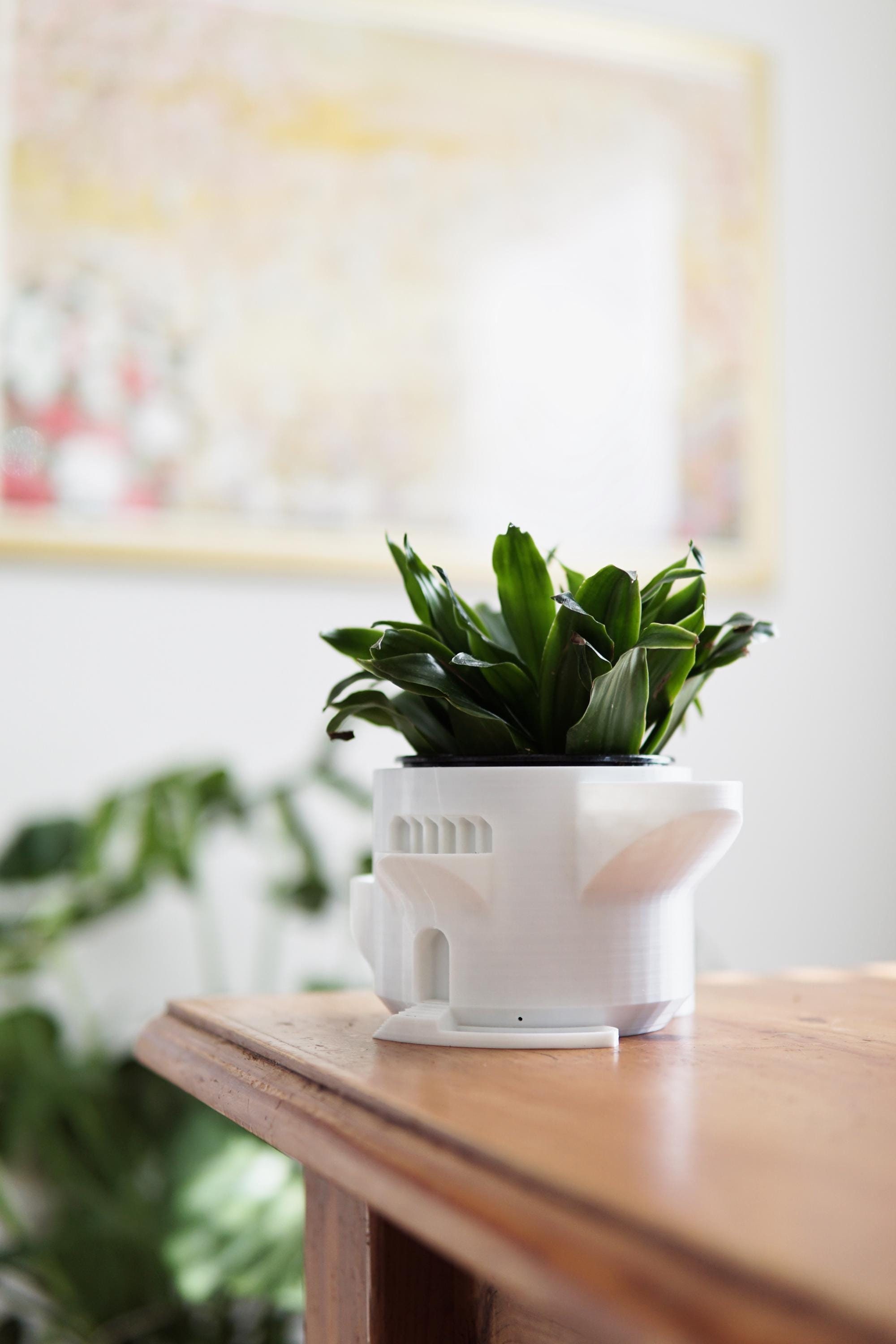 Aquaspiral Oasis Planter - Succulent-ivy-cactus Table Self-watering Pot ...