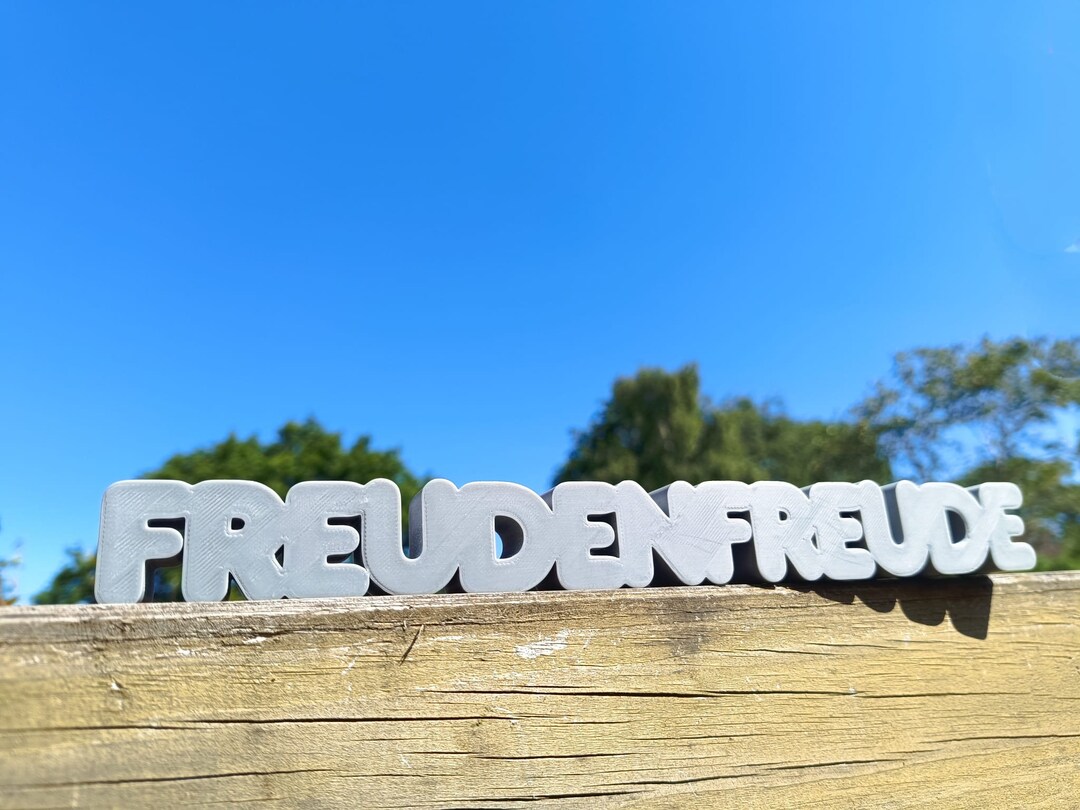 Custom 3D Printed Word "freudenfreude" Inspired by IDLES - Unique Home ...