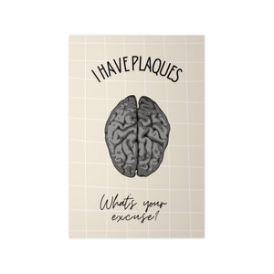 Aesthetic Wall Art for MS I Have Plaques What's Your Excuse Minimalist ...