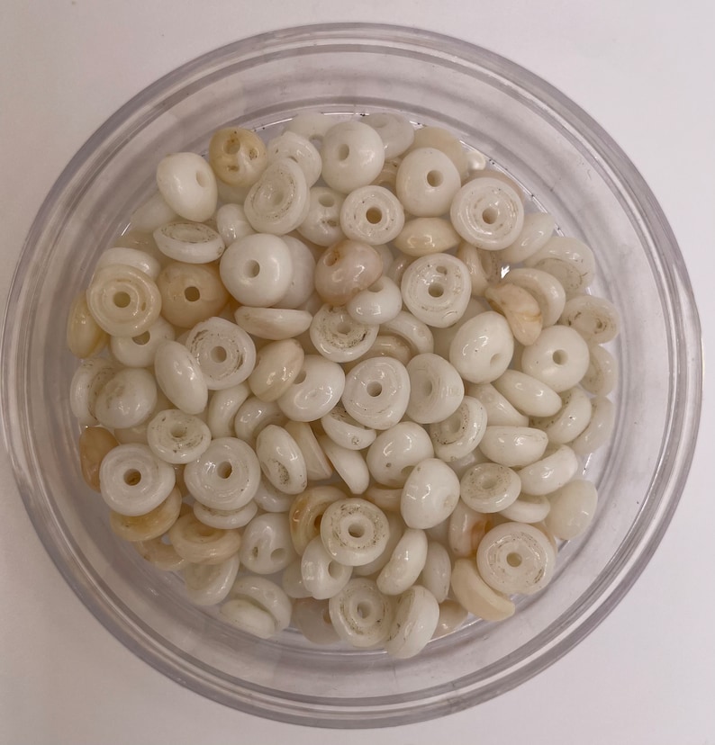 Small White Hawaiian Puka Shells W/ Holes - Etsy