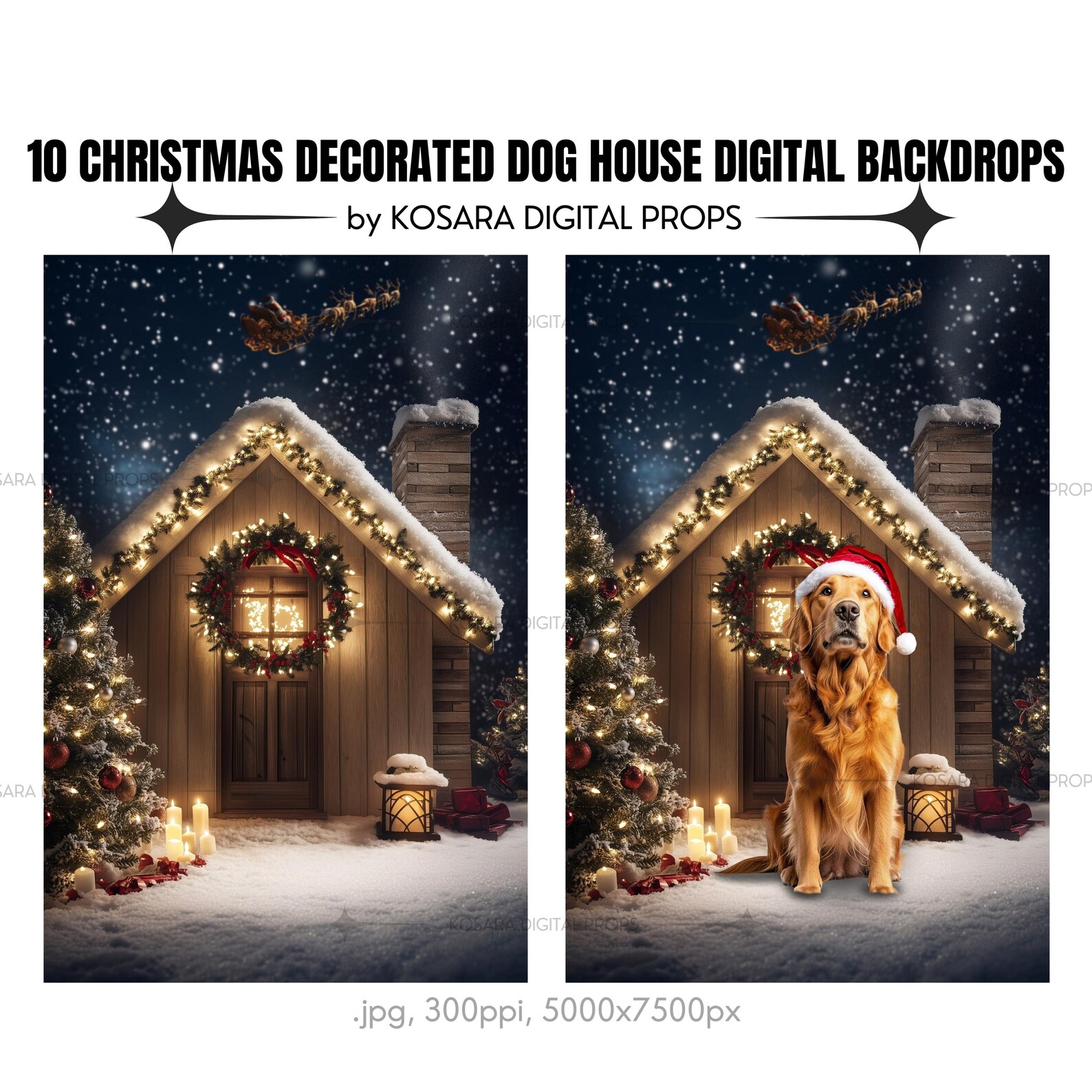 10 Dog Christmas Decorated Houses Digital Backdrops, Pet Christmas ...