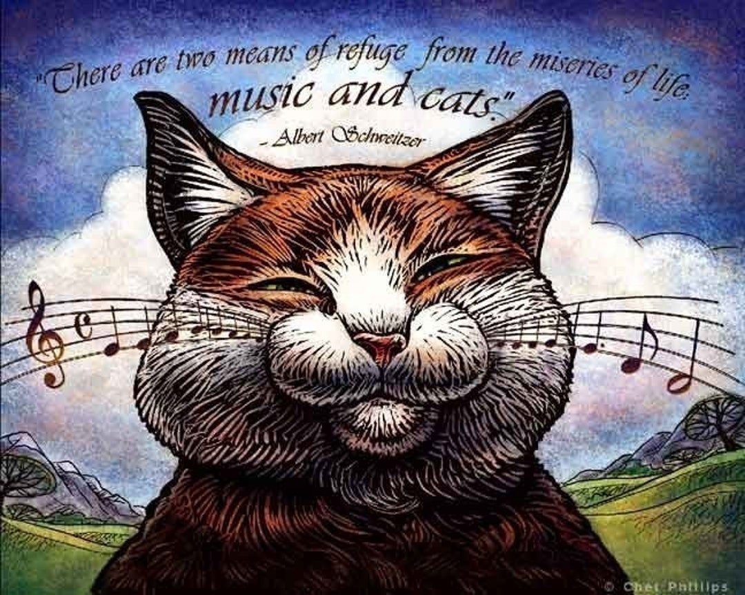 Music Cat 8 X 10 Whimsical Cat Portrait Cat Wall Decor - Etsy