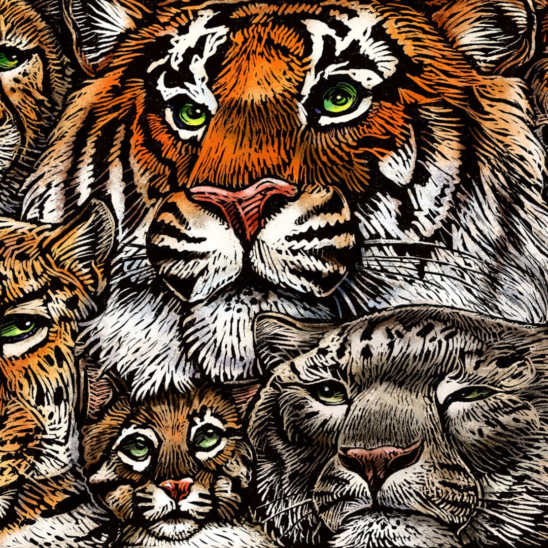 Big Cats 8x 10 Signed Print - Etsy