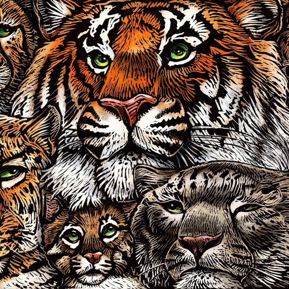 Big Cats 8x 10 Signed Print - Etsy